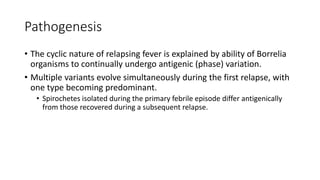 Relapsing Fever.pptx infectious disease in internist AMGH | PPTX