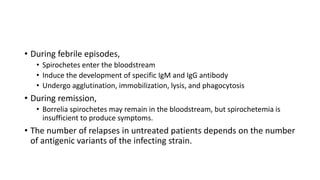 Relapsing Fever.pptx infectious disease in internist AMGH | PPTX