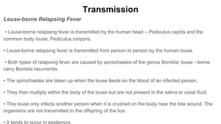 Relapsing fever notes | PPTX