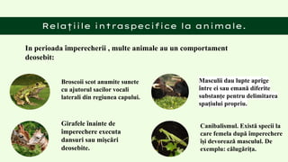 Relațiile intraspecifice dintre animale.pdf