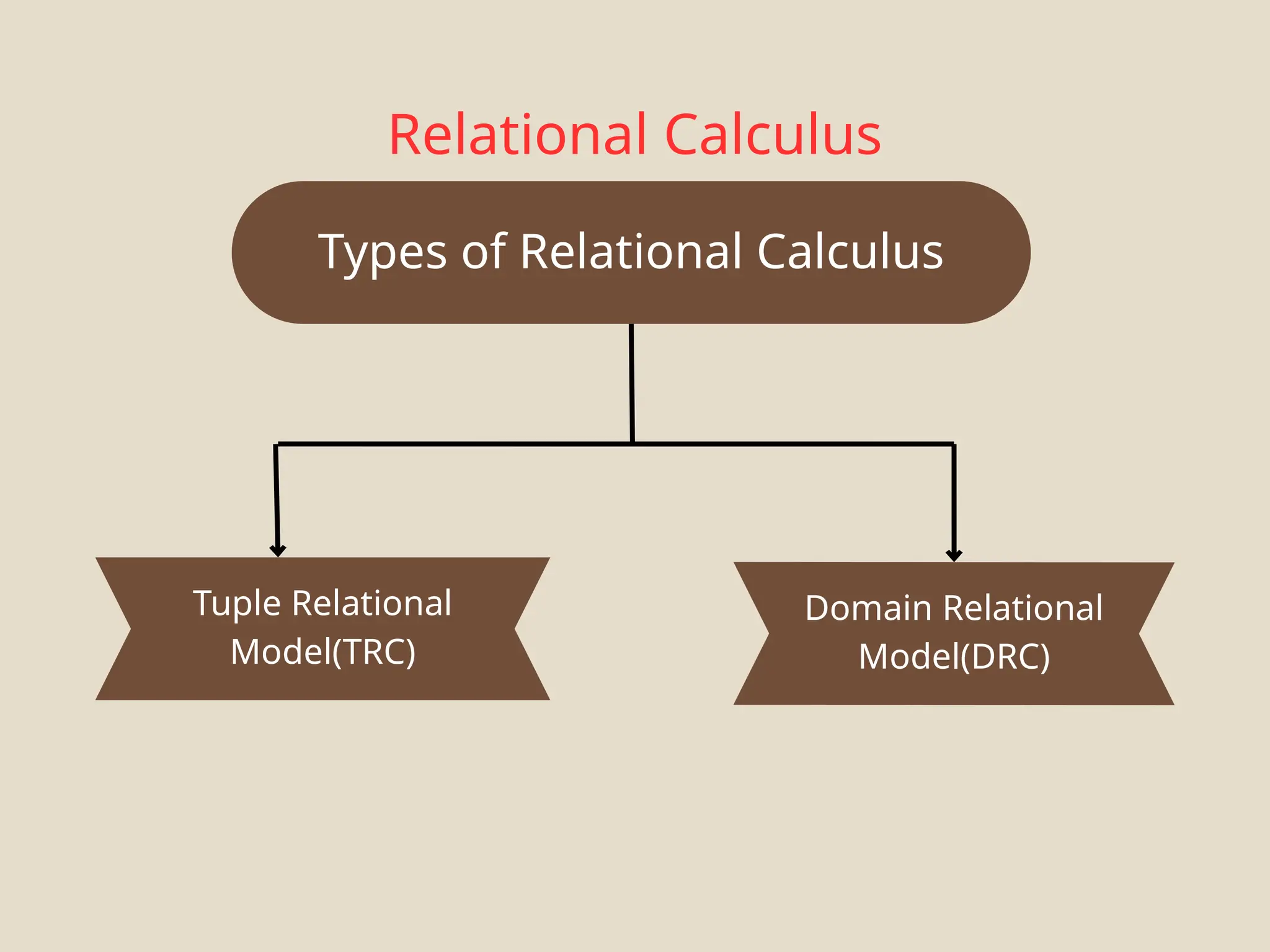 Database Management system Relational calculus.pptx