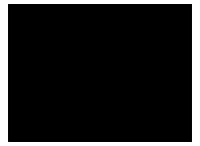 Relational Database Schema for MPEG 7 Visual Descriptors by Florian | PPT
