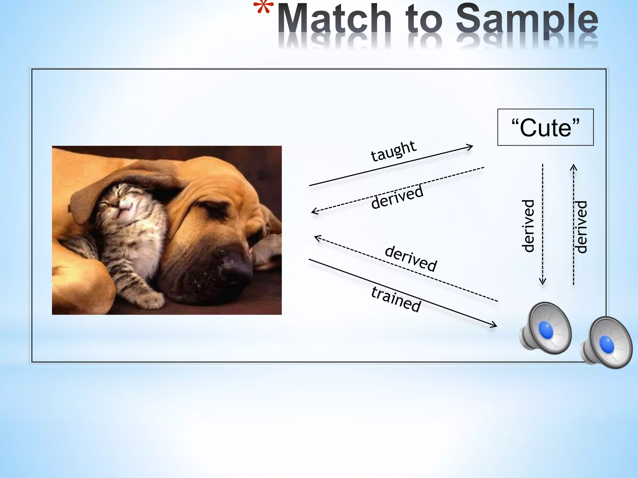 Relational Frame Theory (RFT) | PPTX