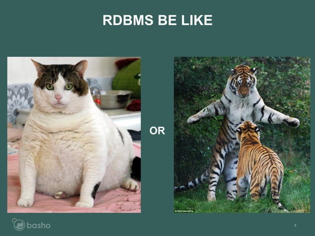 Relational Databases to Riak | PDF | Databases | Computer Software and Applications