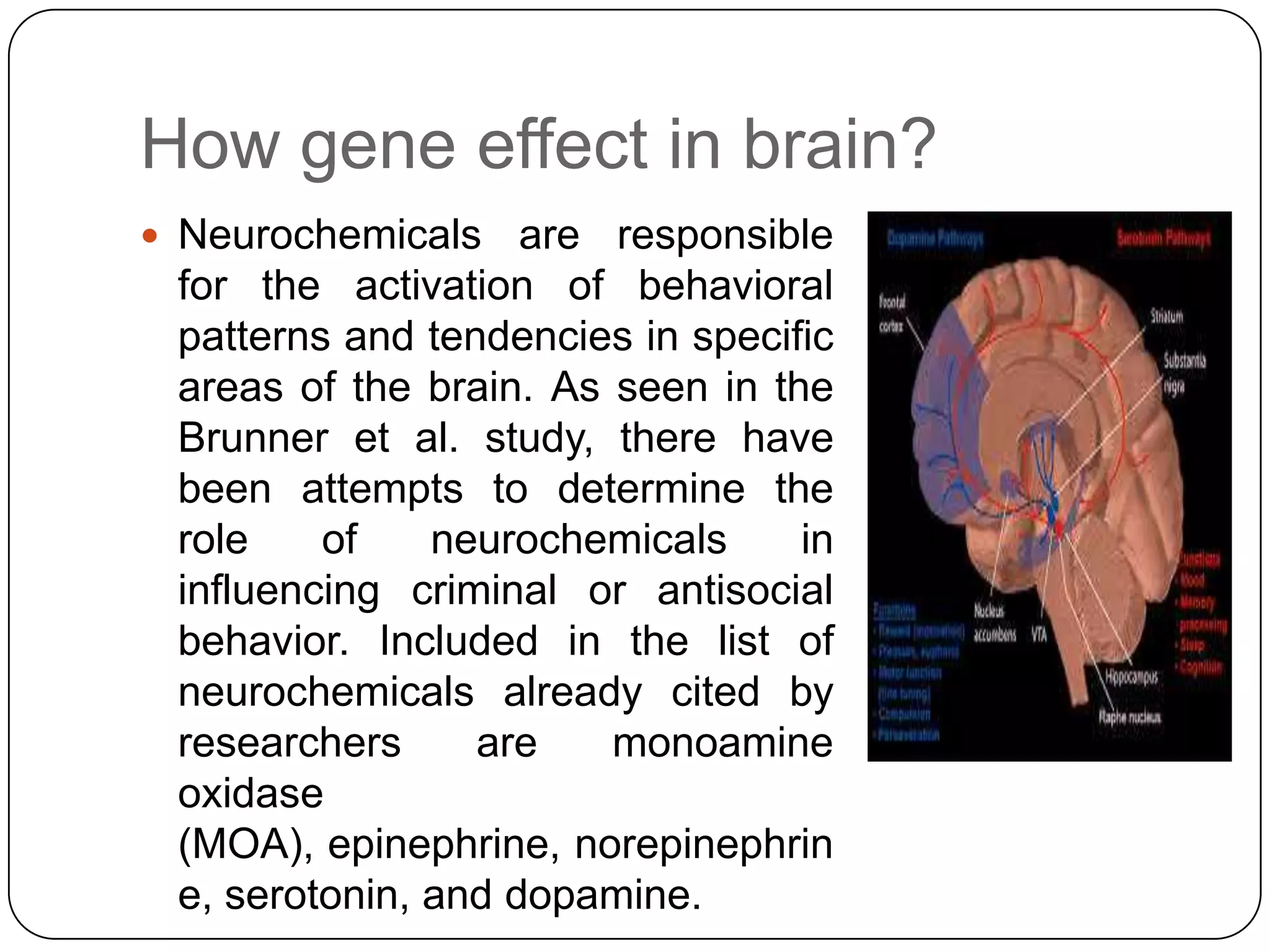 Relation between genetics & criminal behavior | PPTX