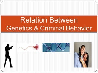 Relation between genetics & criminal behavior | PPTX