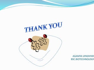 RELATION BETWEEN HARDWARE AND SOFTWARE by agamya upadhyay.pptx