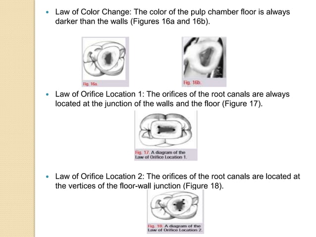 Relation ofaccess cavity design to the canal orifice | PPT