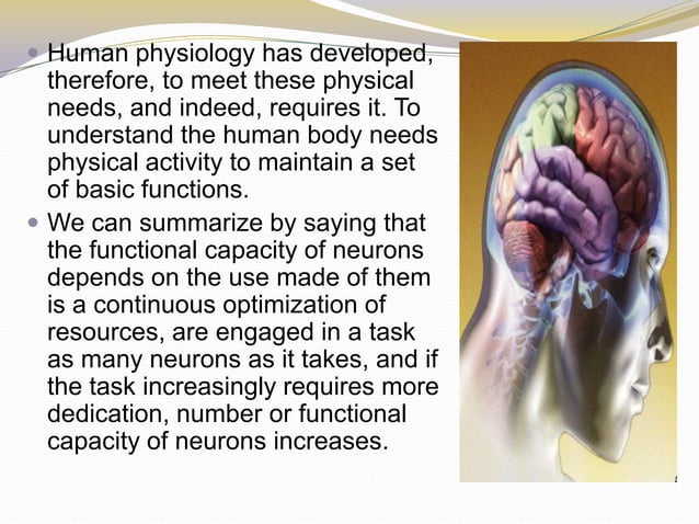 Relationship between brain and physical exercise | PPTX