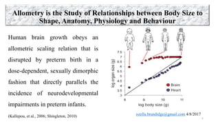 Relationship between brain volume maturation and gestational age | PPTX ...
