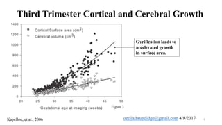 Relationship between brain volume maturation and gestational age | PPTX ...