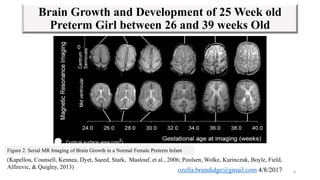 Relationship between brain volume maturation and gestational age | PPTX ...