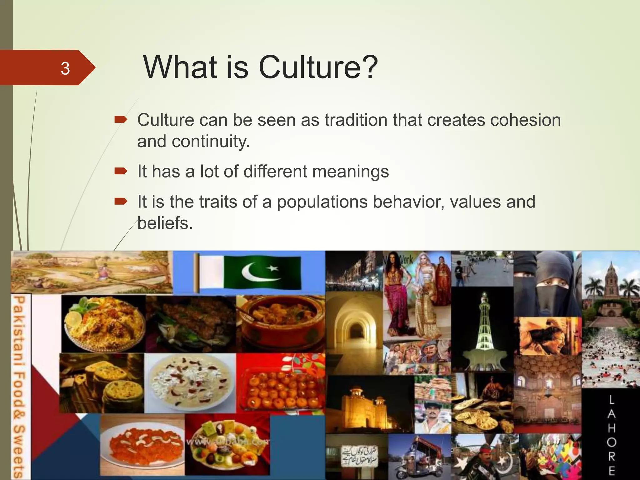 Relationship between culture and society | PPTX