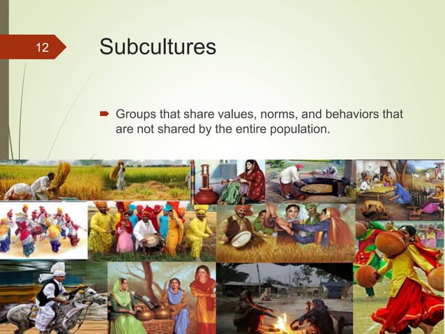 Relationship between culture and society | PPTX