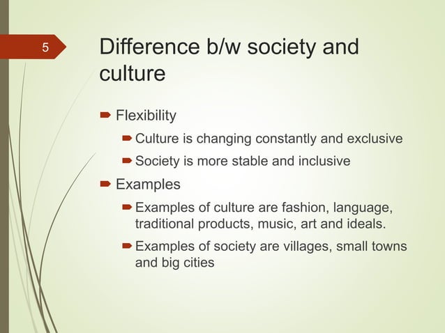 Relationship between culture and society | PPTX