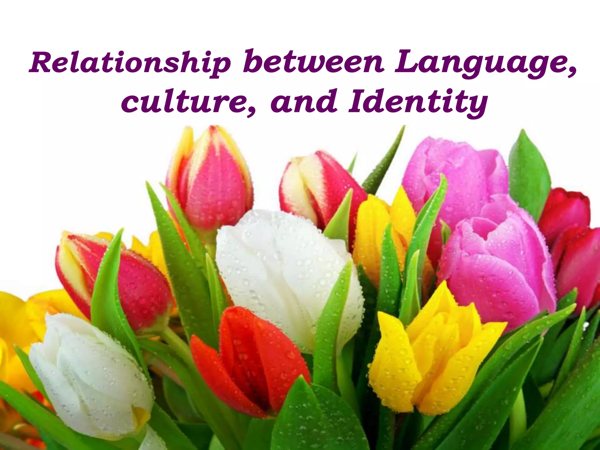 Relationship between language, culture, and identity | PPTX
