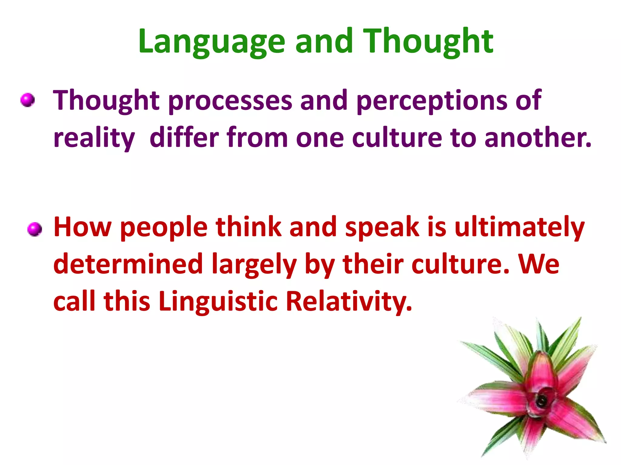 Relationship between language, culture, and identity | PPTX