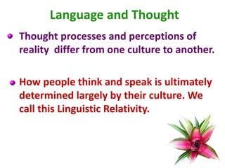 Relationship between language, culture, and identity | PPTX