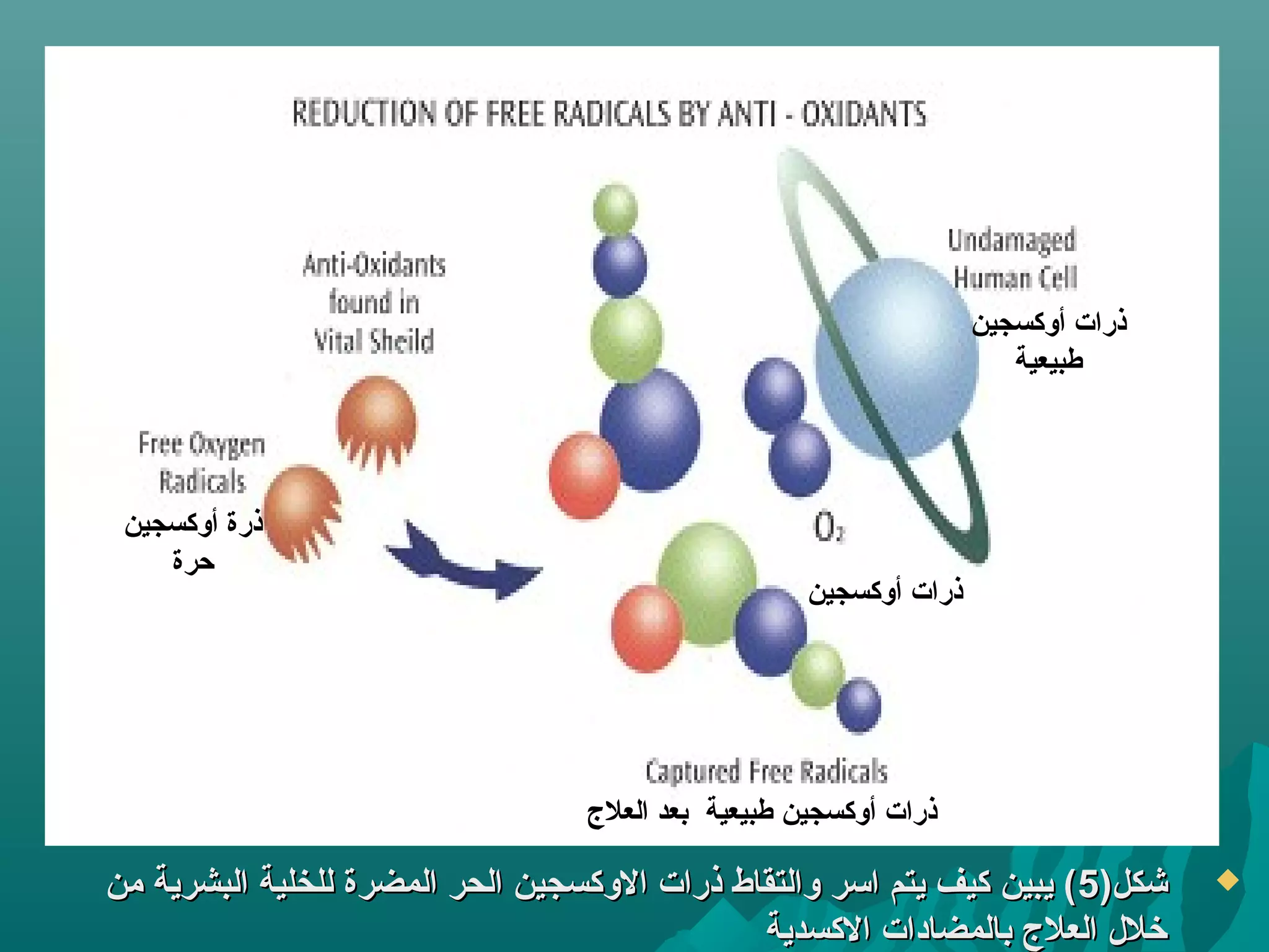 Relationship Between Obesity Testosterone Deficiency And Erectile