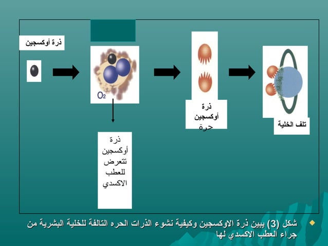 Relationship Between Obesity Testosterone Deficiency And Erectile