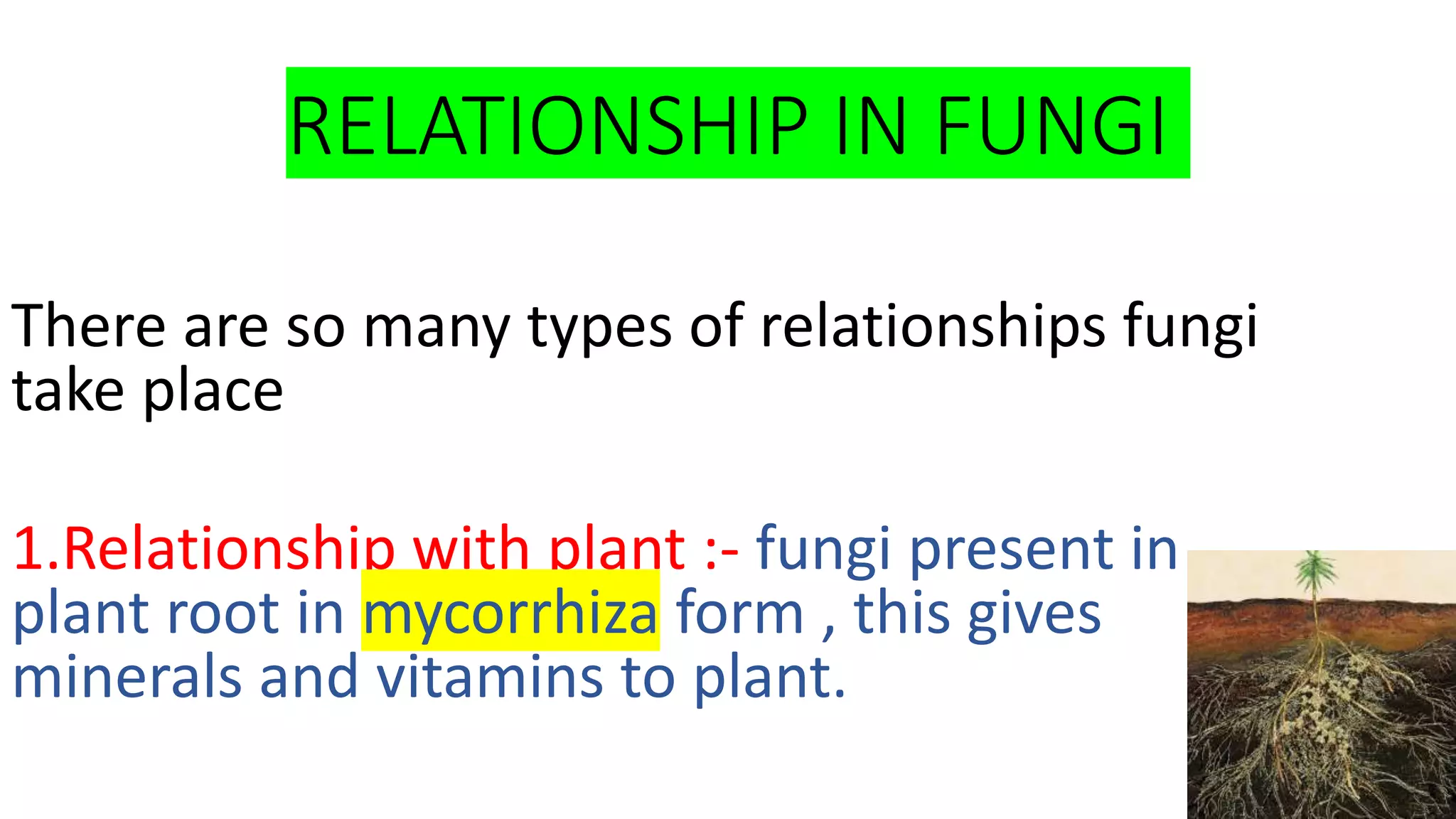 Relationship in fungi | PPTX