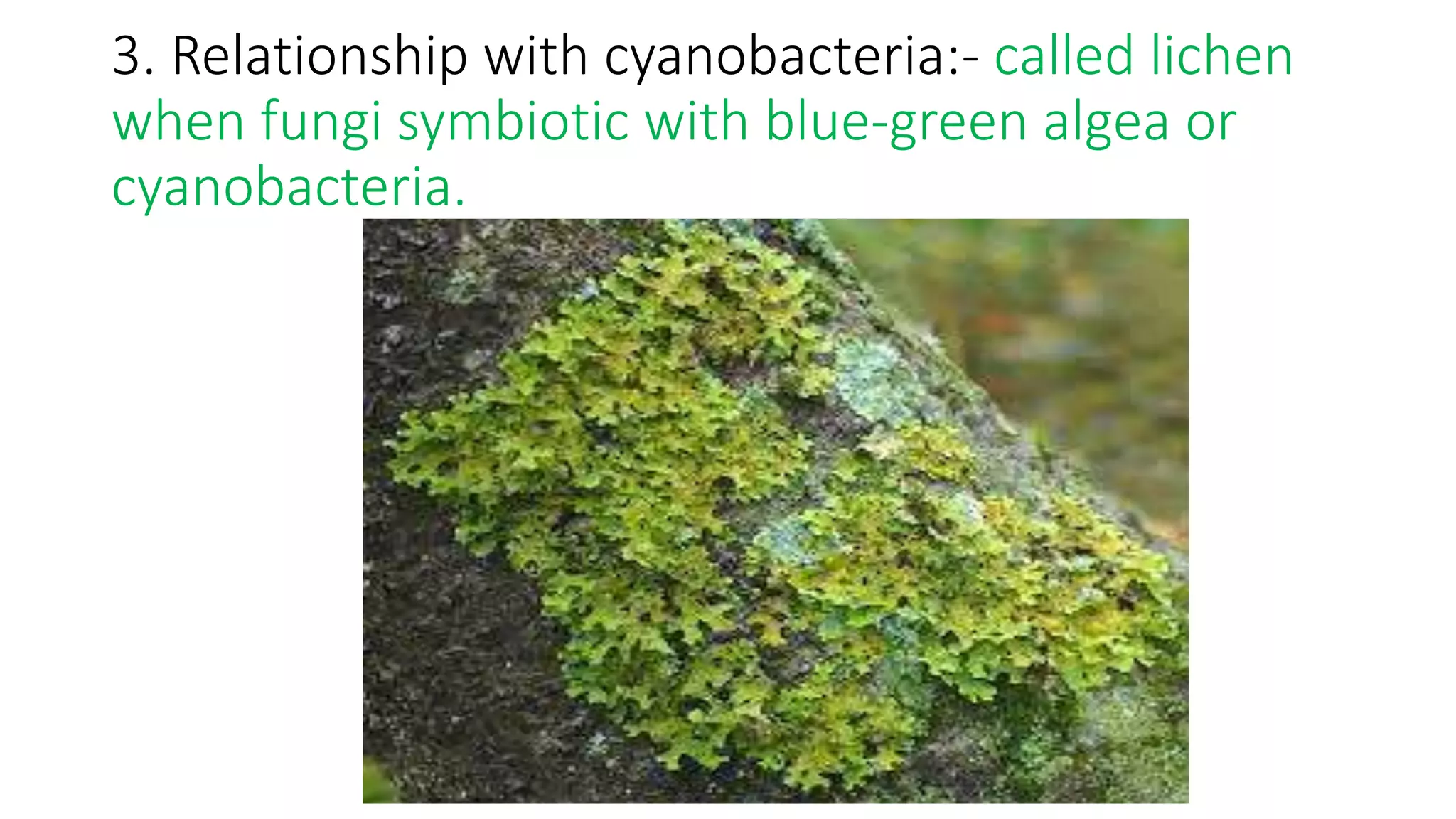 Relationship in fungi | PPTX