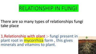 Relationship in fungi | PPTX