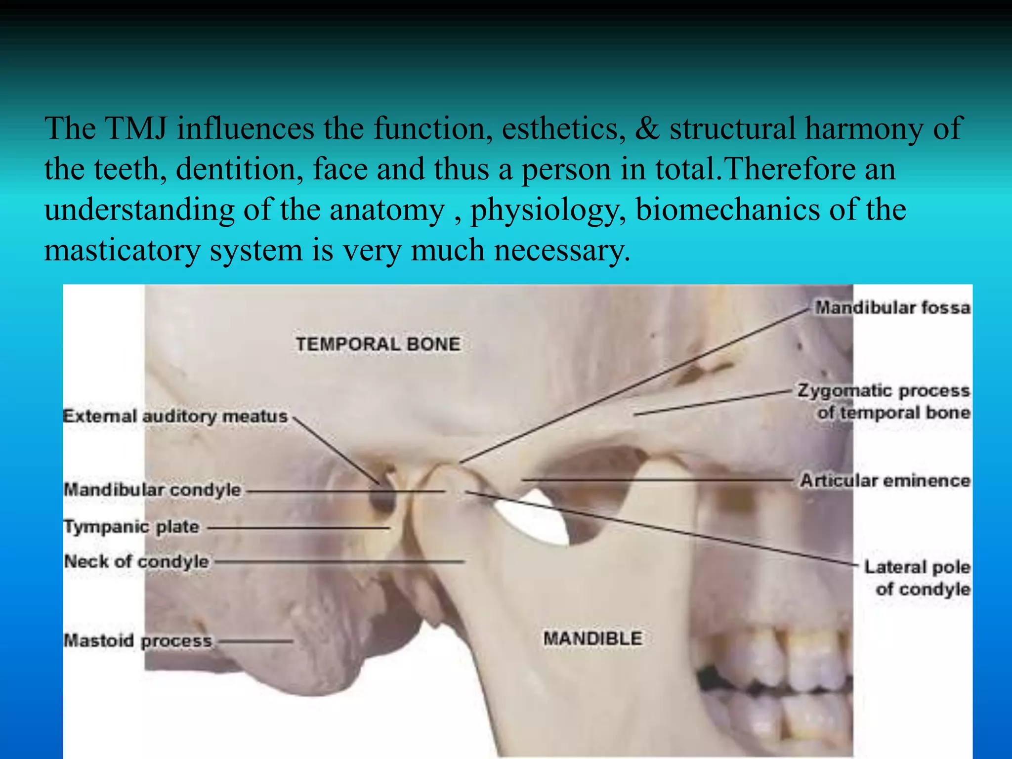 Relationship of tmj anatomy and pathology and related | PPTX