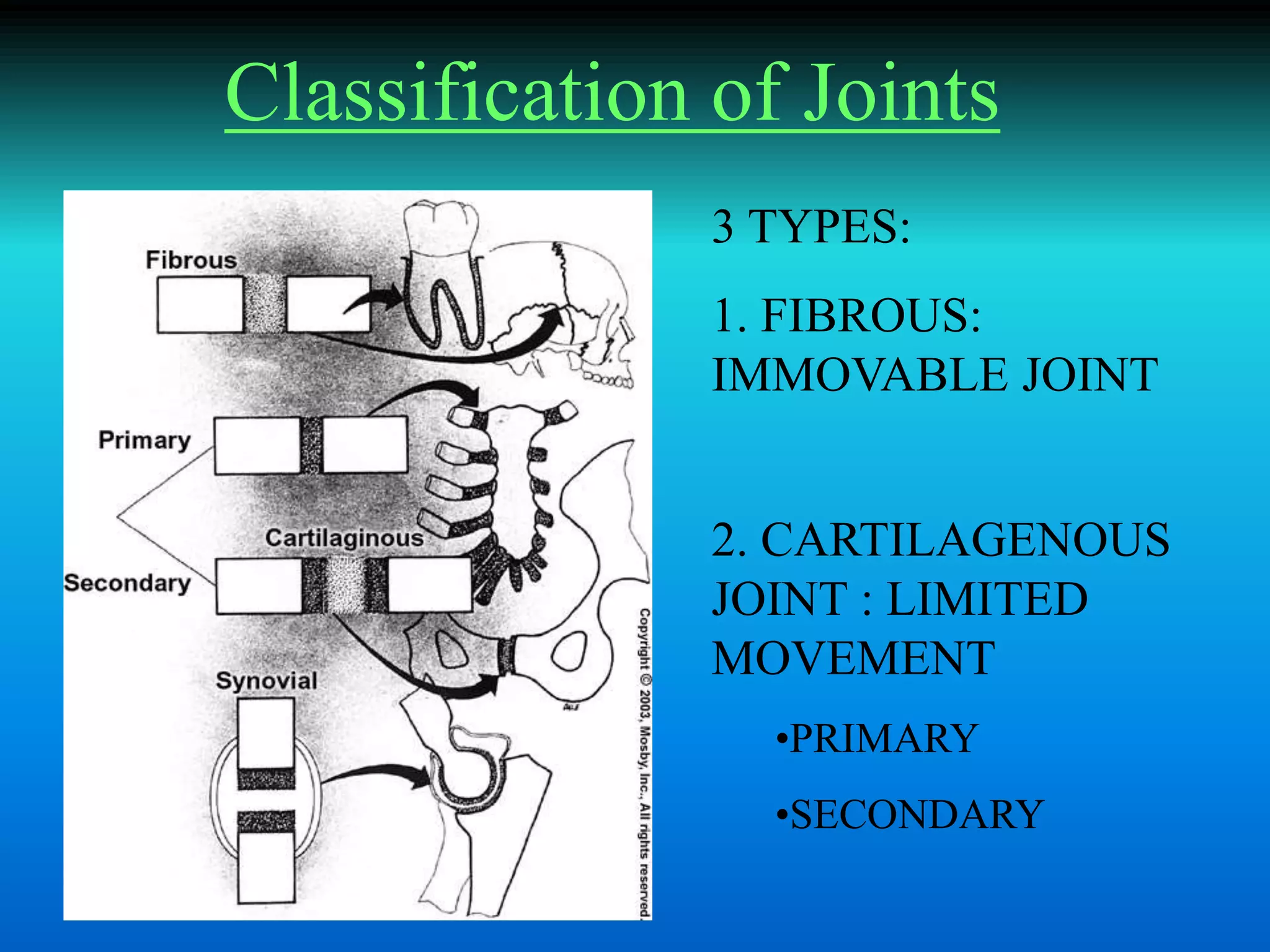 Relationship of tmj anatomy and pathology and related | PPTX