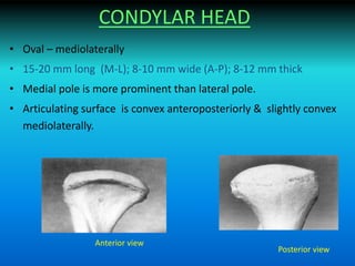 Relationship of tmj anatomy and pathology and related | PPTX
