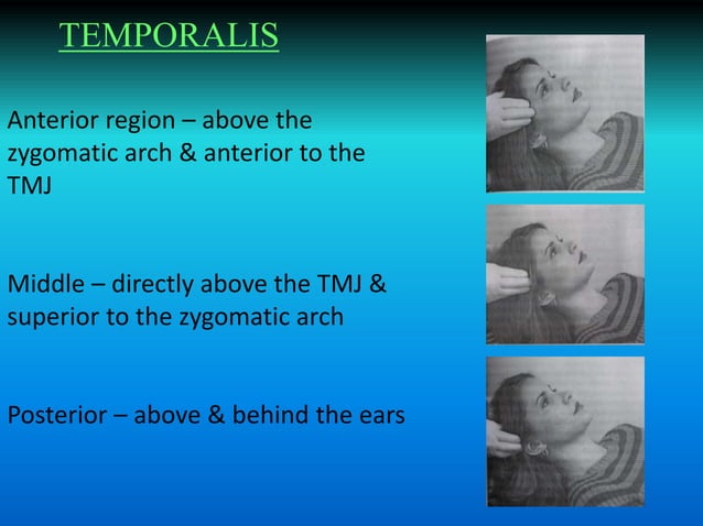 Relationship of tmj anatomy and pathology and related | PPTX