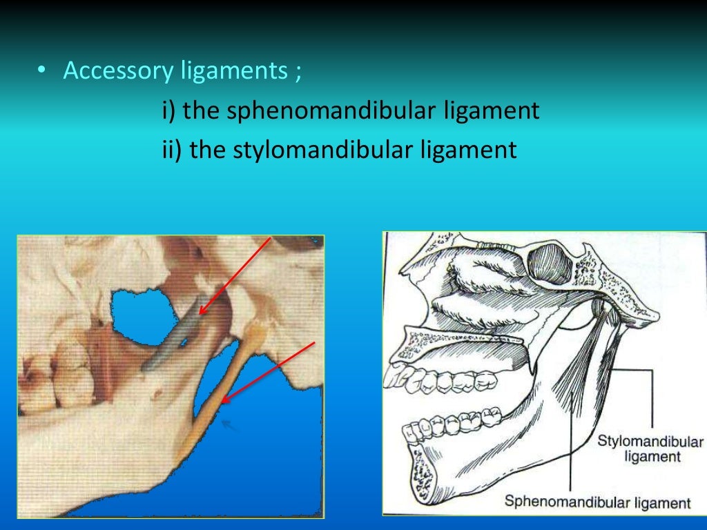 Relationship of tmj anatomy and pathology and related