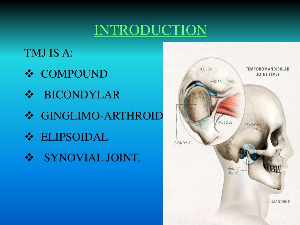 Relationship of tmj anatomy and pathology and related