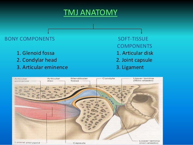 Relationship of tmj anatomy and pathology and related