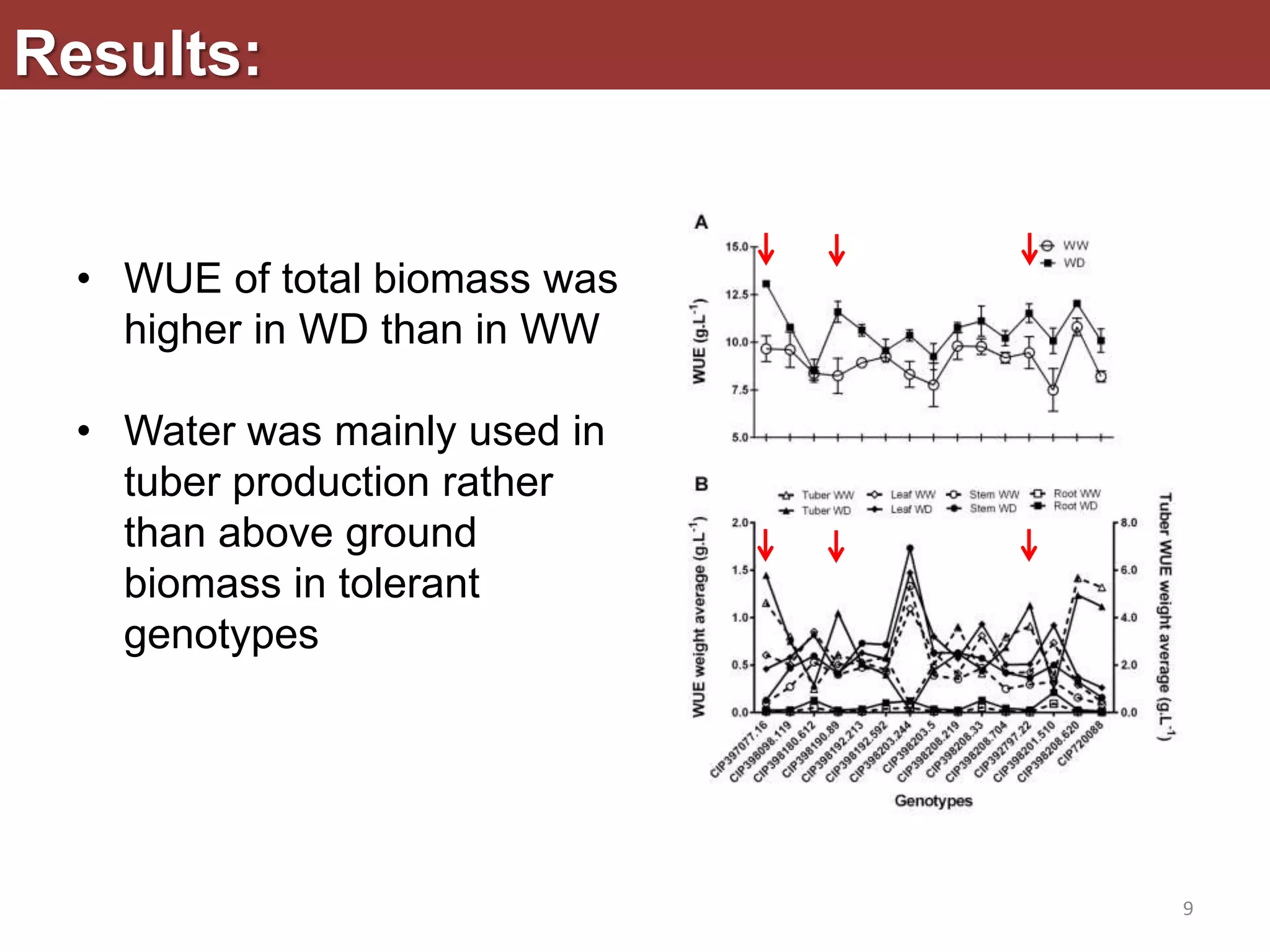 Relationship of water use efficiency, yield and drought tolerance in potato (Solanum tuberosum L ...