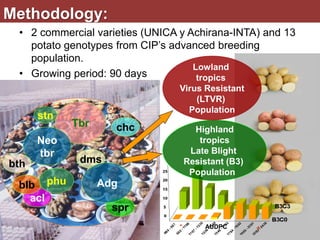 Relationship of water use efficiency, yield and drought tolerance in ...