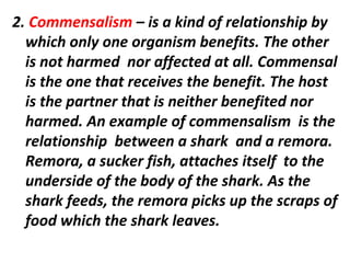 Relationships among organisms | PPT