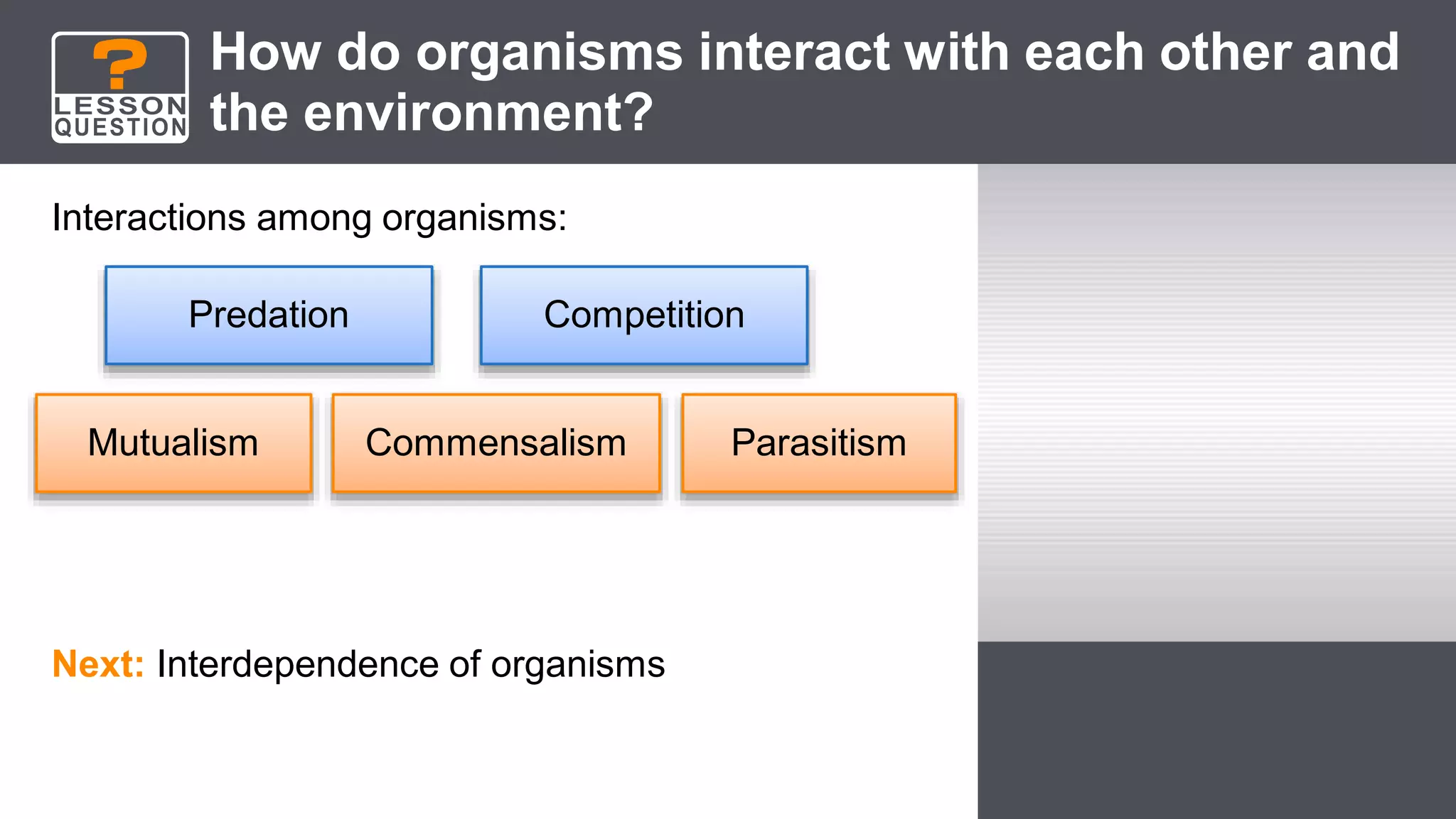 Relationships Among Organisms PPT(1).pptx