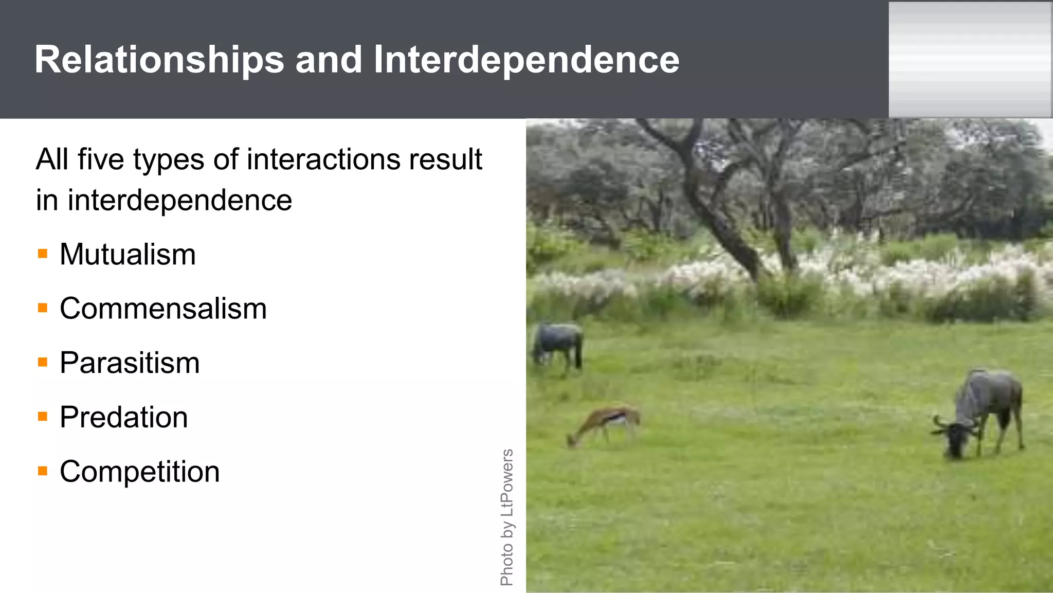 Relationships Among Organisms PPT(1).pptx