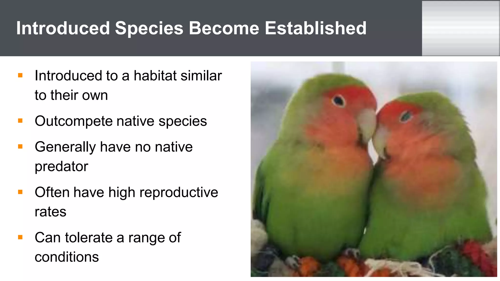 Relationships Among Organisms PPT(1).pptx