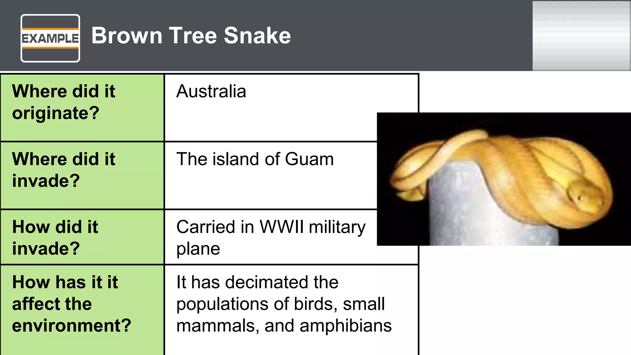 Relationships Among Organisms PPT(1).pptx