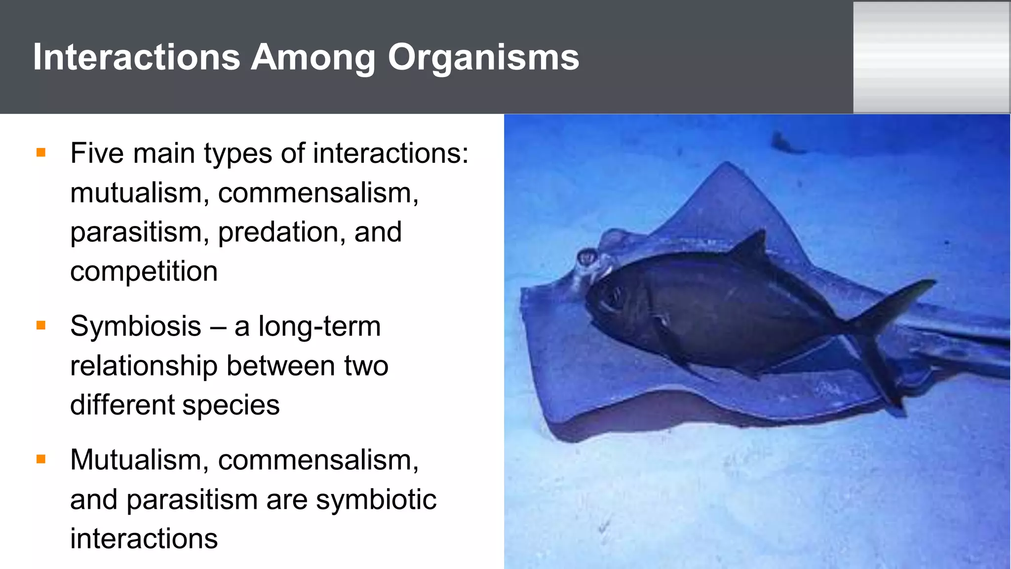 Relationships Among Organisms PPT(1).pptx