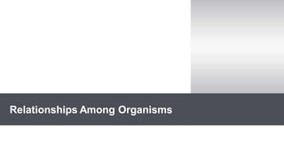 Relationships Among Organisms PPT(1).pptx