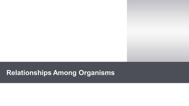 Relationships Among Organisms PPT(1).pptx