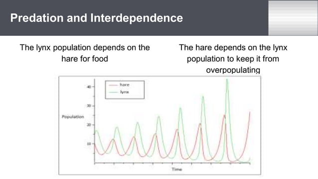 Relationships Among Organisms PPT(1).pptx