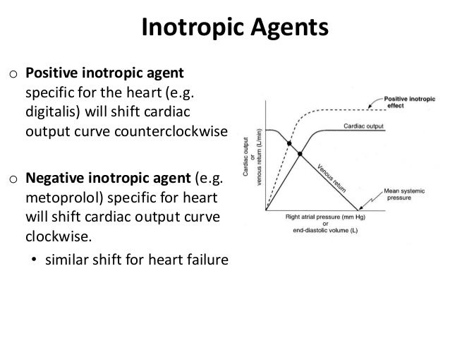 Relationships between Cardiac Output and Venous Return