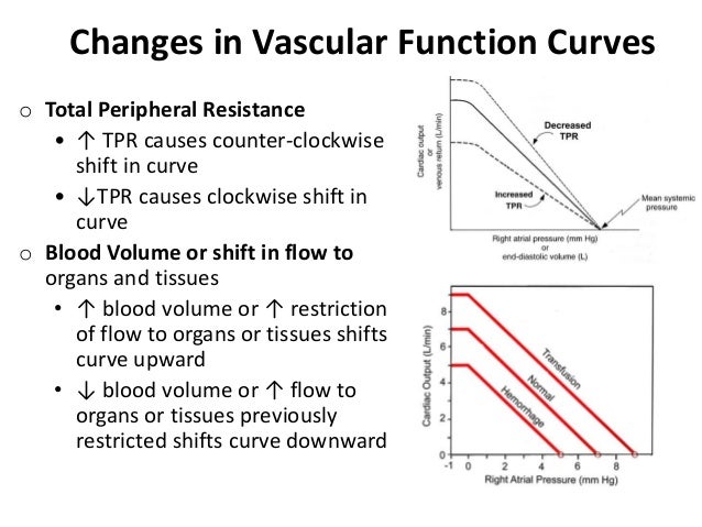 Relationships between Cardiac Output and Venous Return