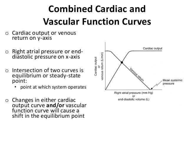 Relationships between Cardiac Output and Venous Return