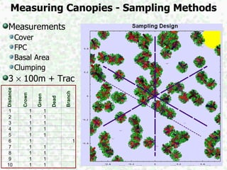 Relationships between forest structure measurements | PPT | Weather ...