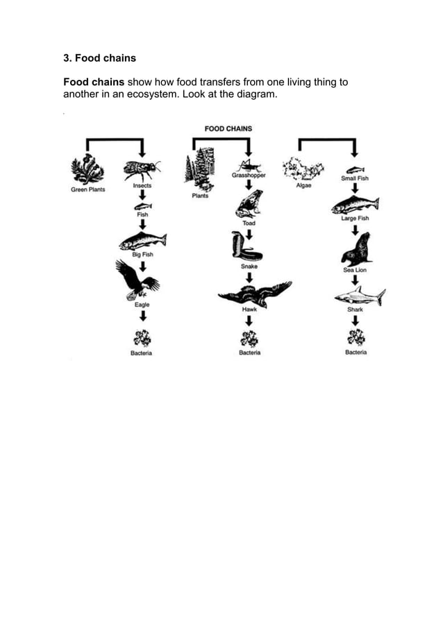 Relationships between living things page 6 | PDF | Biological Sciences ...
